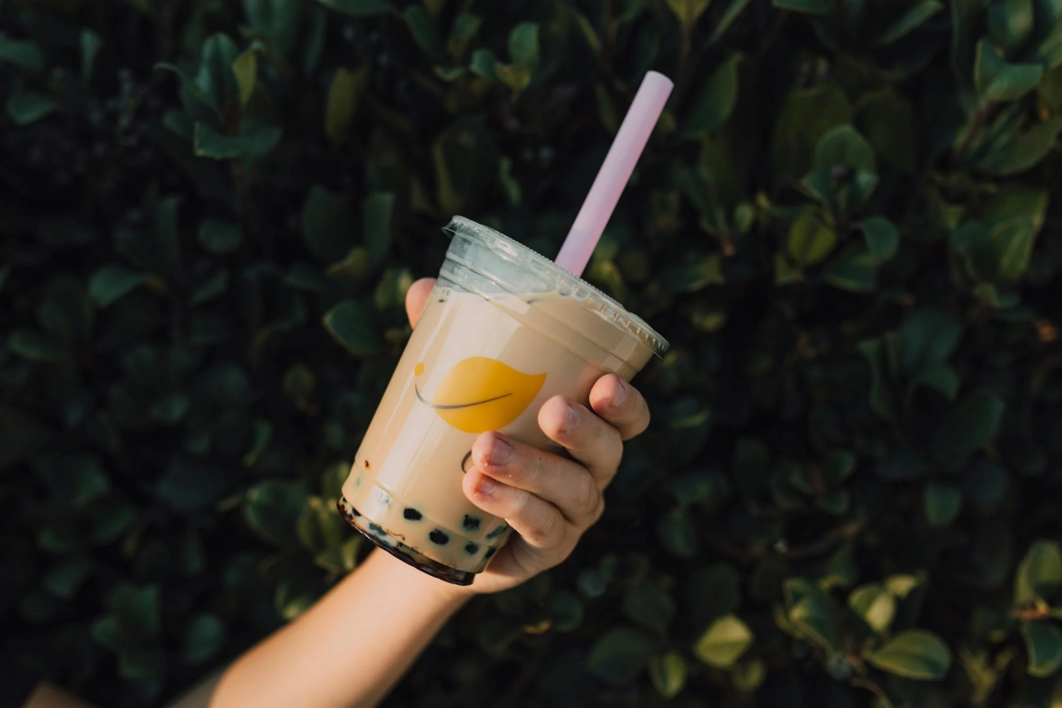 Exciting Boba Tea Shop Packaging Ideas to Inspire
