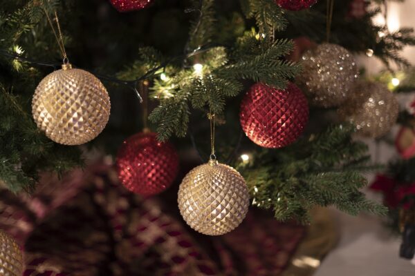 Christmas Ideas for Your Bakery Shop: Boost Sales with Festive ...